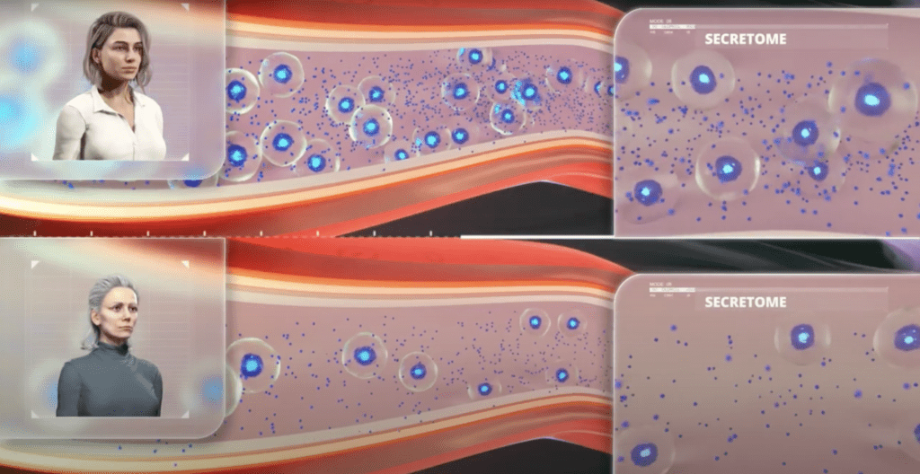 Immunis’ Animation Showcases the Potential of Immunomodulatory ...